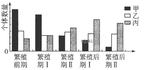种群年龄年龄齐豫年龄大山谷图库